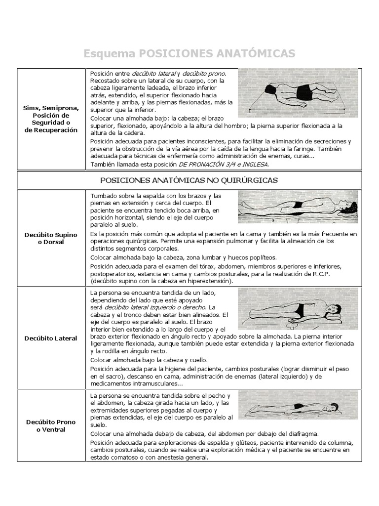 Esquema POSICIONES ANATÓMICAS
