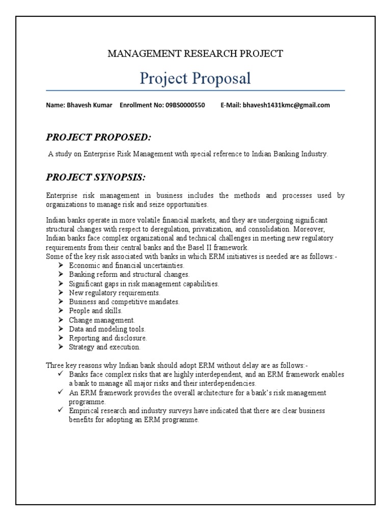 Project Proposal - Management Research Project | PDF | Risk ...