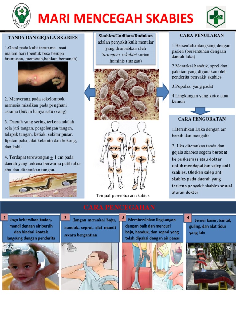 Poster Cegah Skabies | PDF