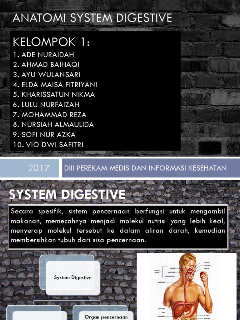 Anatomi System Digestive | PDF | Griya & Taman | Kesehatan Holistik