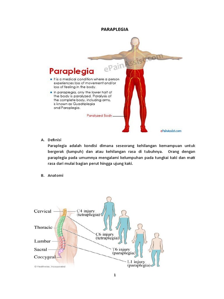 Paraplegia | PDF