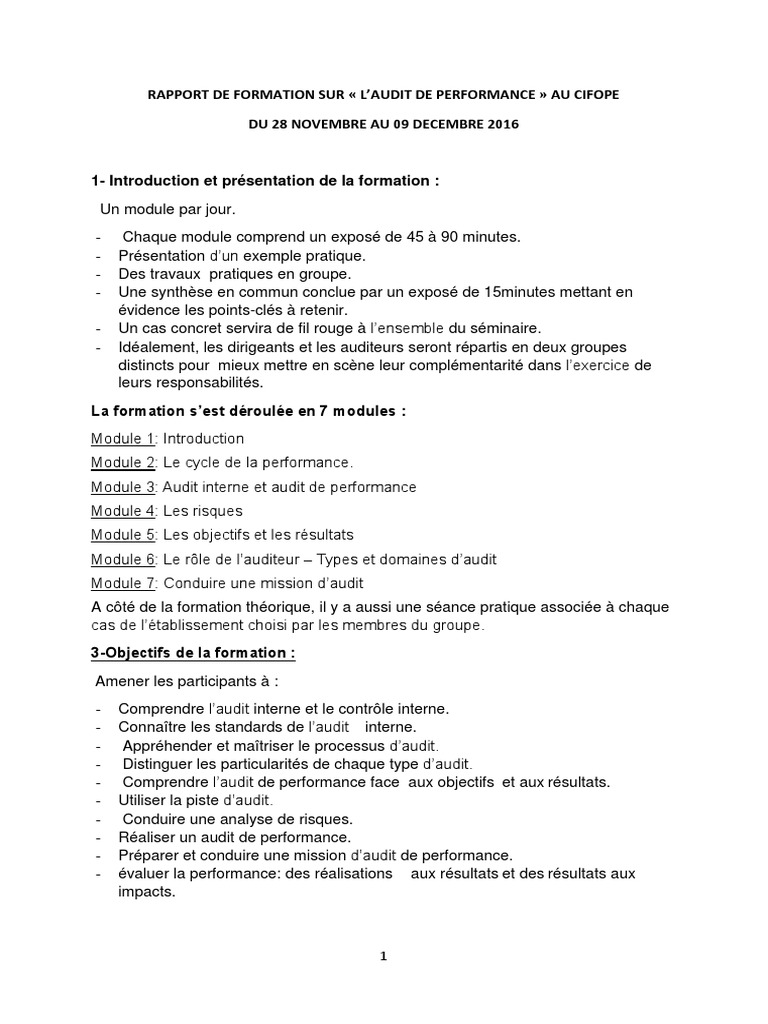 Rapport de Formation : Audit de Performance | PDF | Audit interne ...