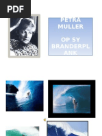 Poëtiese Begrippe | PDF