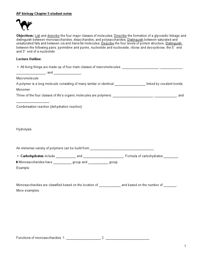 AP Biology Chapter 5 Student Notes | PDF | Lipid | Nucleic Acids