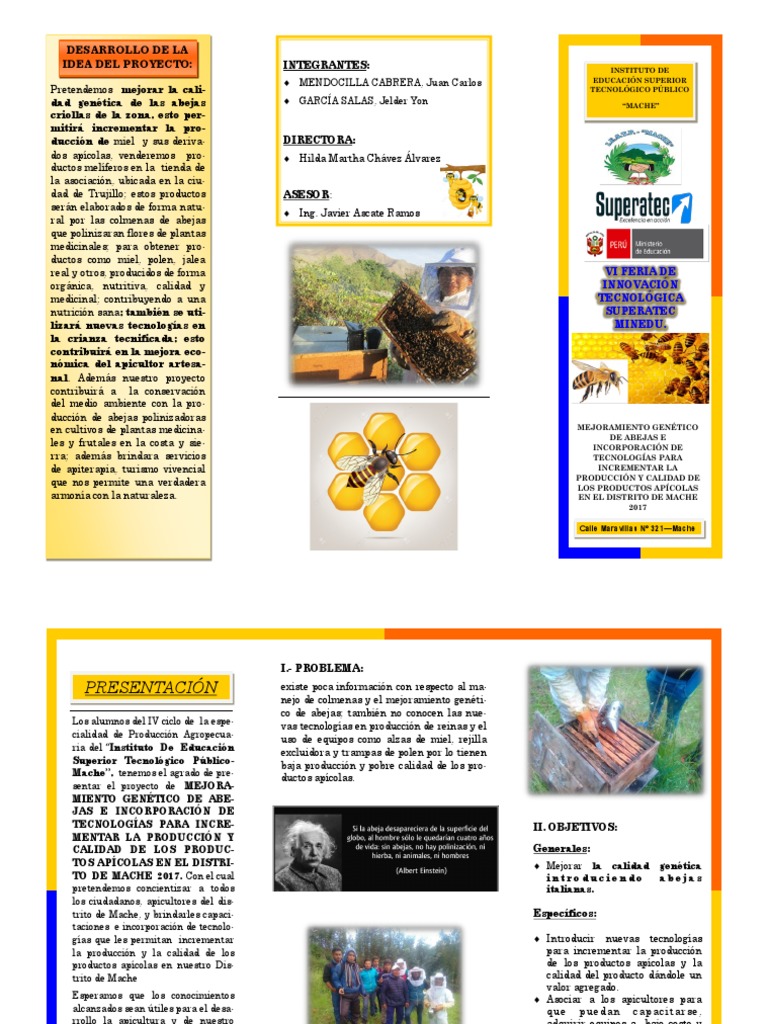 Triptico Abejas | PDF | Apicultura | Ganado
