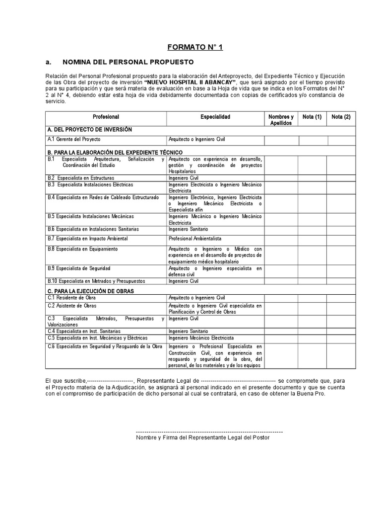 TDR Formatos Del 1 Al 6 | PDF | Ingeniero civil | Ingeniería