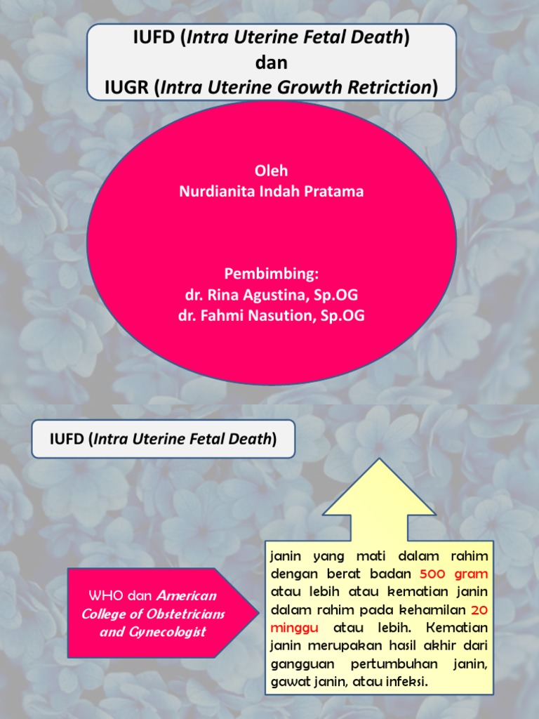 Iufd Dan Iugr | PDF