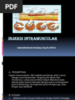 Farmakologi Intramuskular | PDF