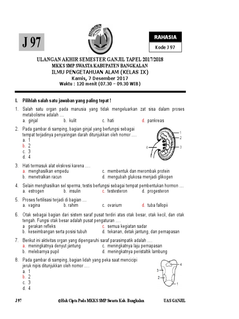 IPA 9 SMT 1 1718 | PDF