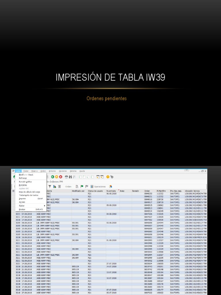 IW39 Impresion | PDF