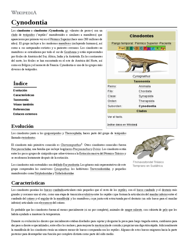 Cynodontia | PDF | Naturaleza