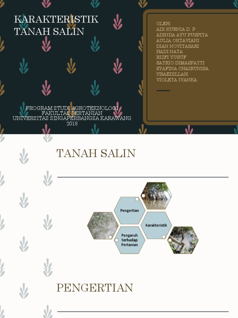 Karakteristik Tanah Salin | PDF