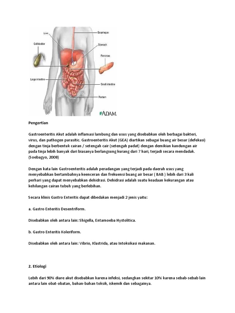 Kumpulan LP Gea | PDF