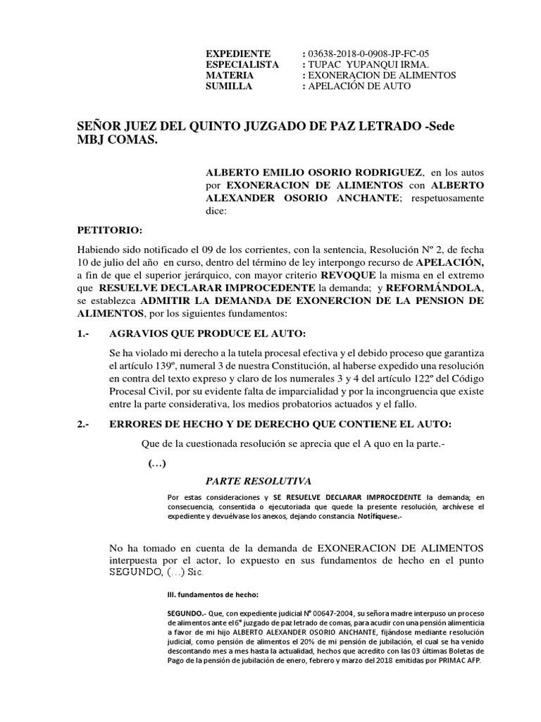 Apelacion de Auto | PDF | Debido al proceso | Apelación