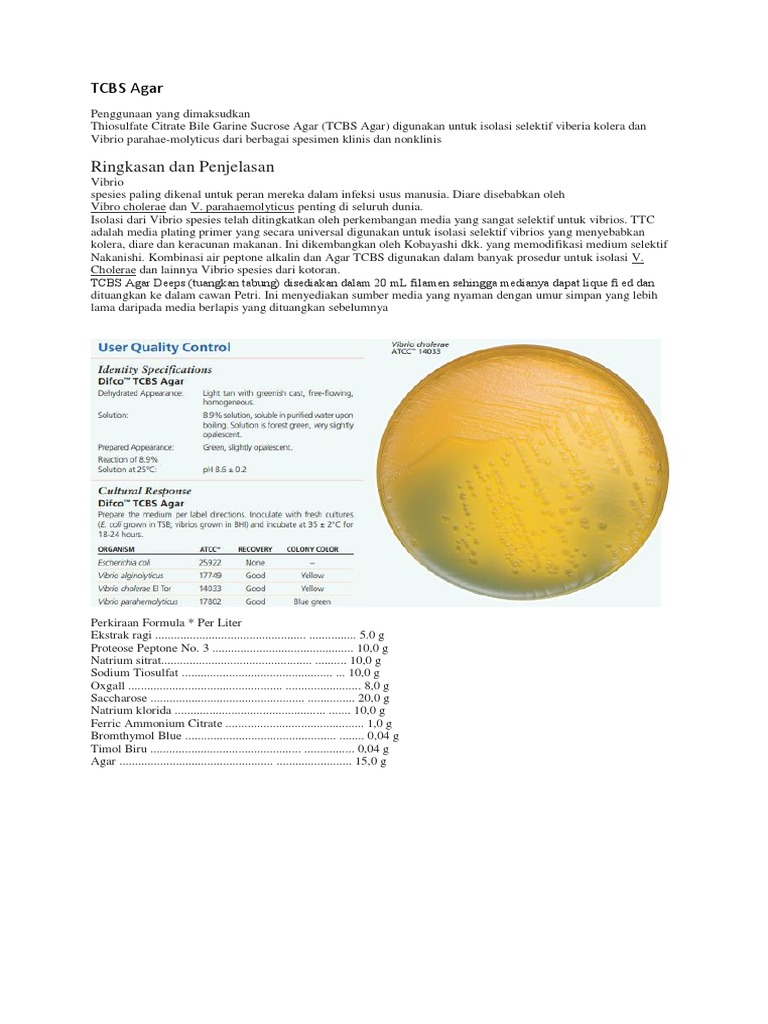 TCBS Agar | PDF
