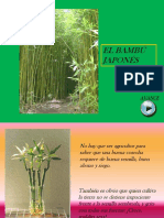 El Bambú Japonés Reflexión | PDF