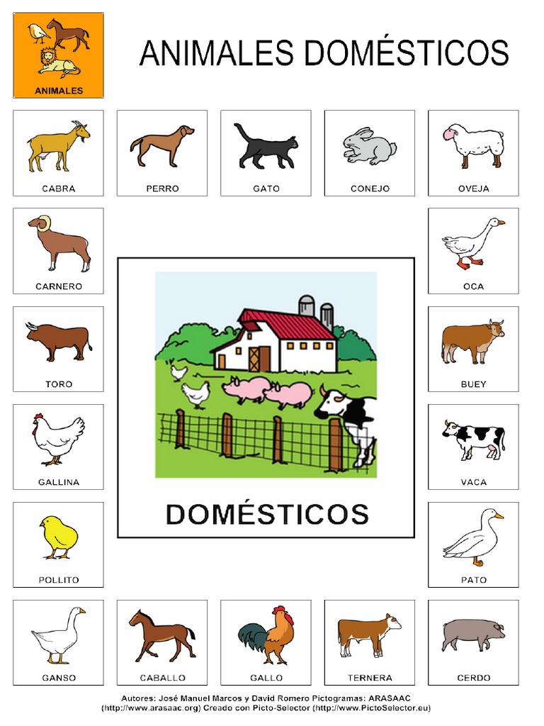 Animales Domesticos Vocabulario PDF | PDF