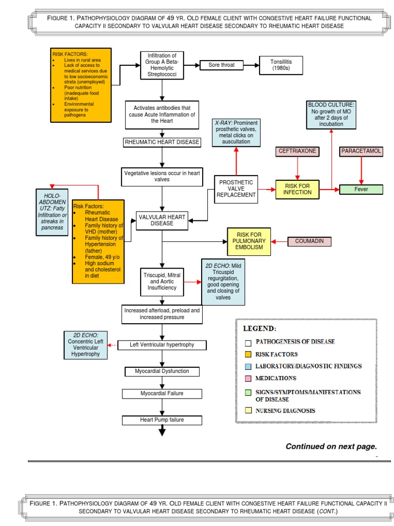 Pathophysiology of Congestive Heart Failure | Heart | Heart Failure