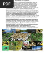 Animales en Xinka | PDF