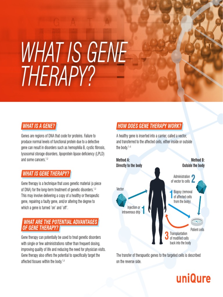 What Is A Gene? How Does Gene Therapy Work? | PDF | Gene Therapy ...