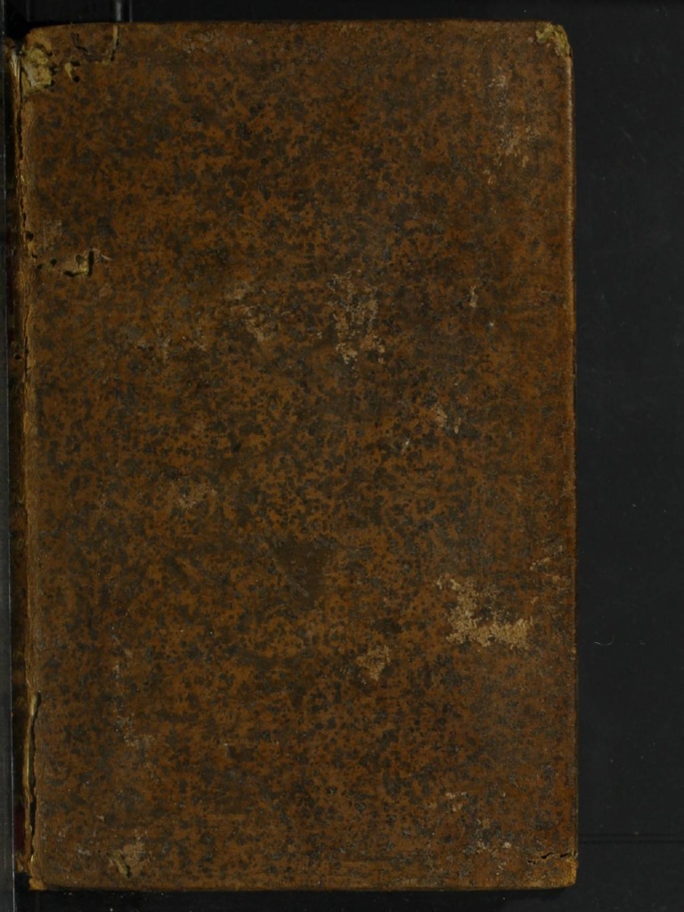 Felipe Alberto Patroni Martins Maciel Parente - Torre de Menagem. a ...