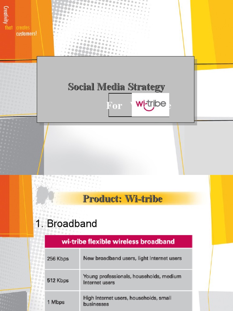 Strategy For Wi-Tribe | PDF