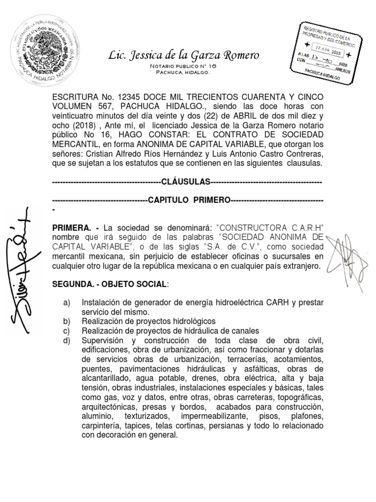 Acta Constitutiva | PDF | Sociedad de responsabilidad limitada | Compartir (Finanzas)