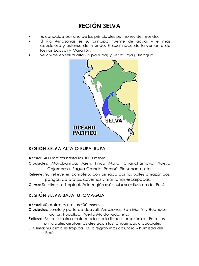 Región Selva | PDF | Plantas | Naturaleza