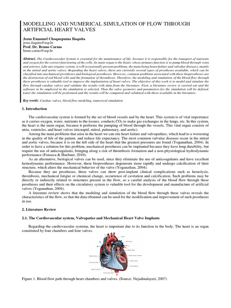 Modelling and Numerical Simulation of Flow Through Artificial Heart ...
