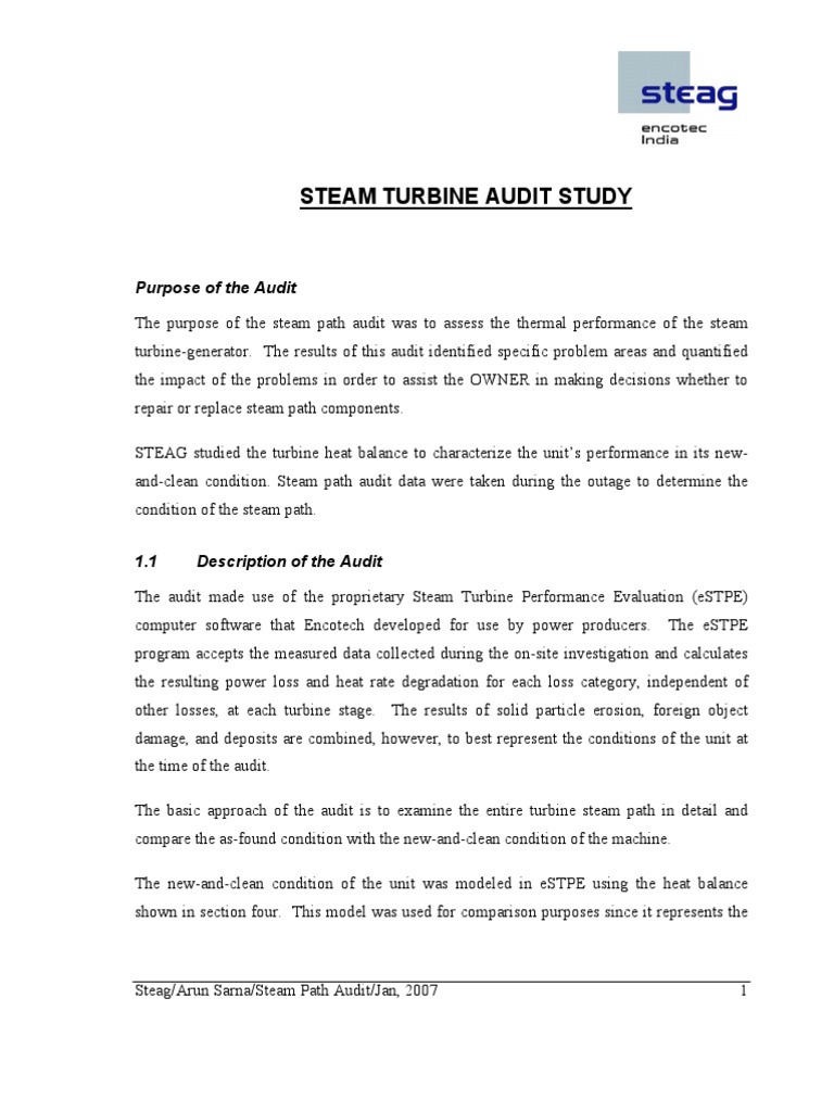 Steag - Steam Turbine Audit Study | PDF | Turbine | Fluid Dynamics