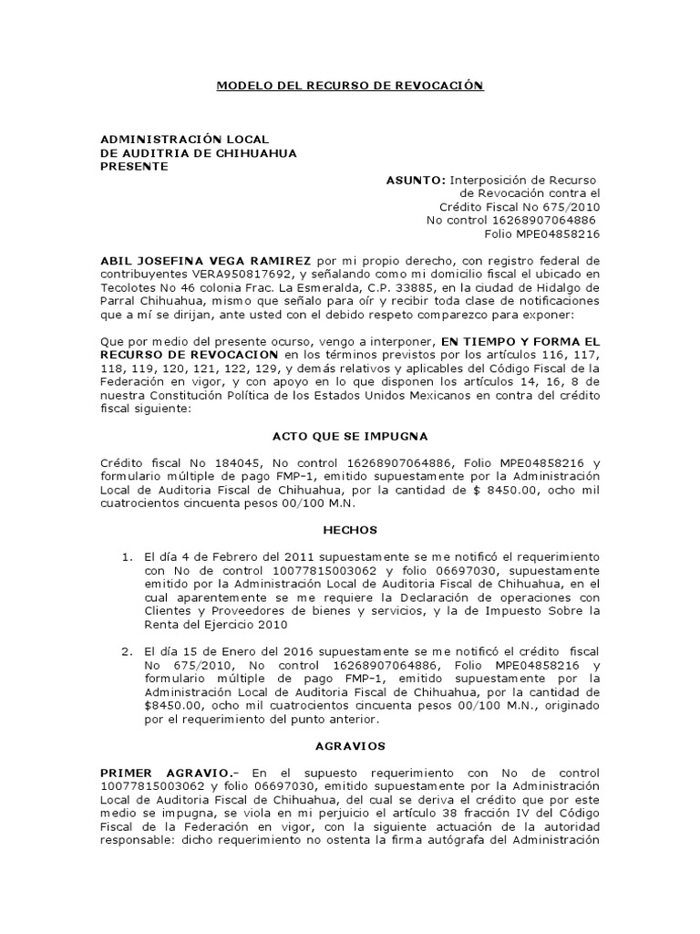 Modelo Del Recurso de Revocación | PDF | Federación | Auditoría