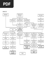 Pathway Cerebral Palsy | PDF