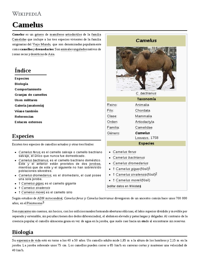 Camelus | PDF | Camello | Incluso los ungulados de dedos