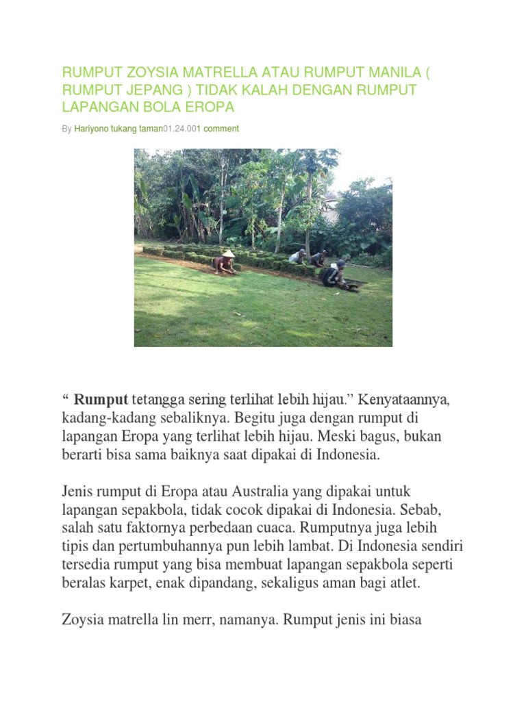 Rumput Zoysia Matrella Atau Rumput Manila | PDF