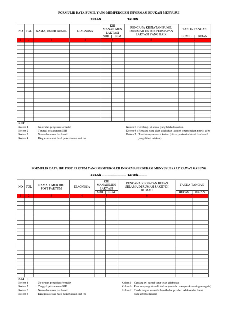 Formulir Data Bumil Yang Memperoleh Informasi Edukasi Menyusui | PDF