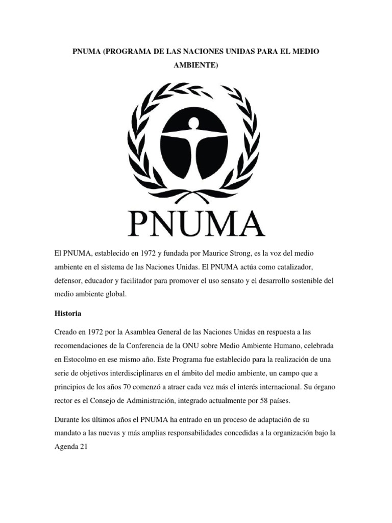 PNUMA: Historia y Mandato Ambiental | PDF | Programa del Medio Ambiente ...