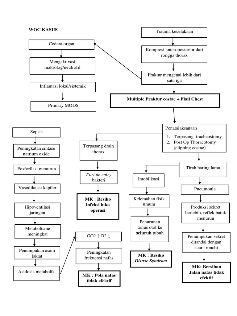 Woc Kasus: Port de Entry | PDF