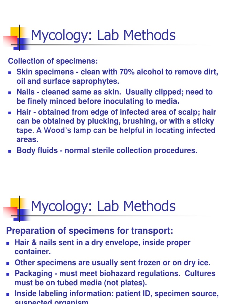 Mycology Laboratory Techniques | PDF | Staining | Fungus