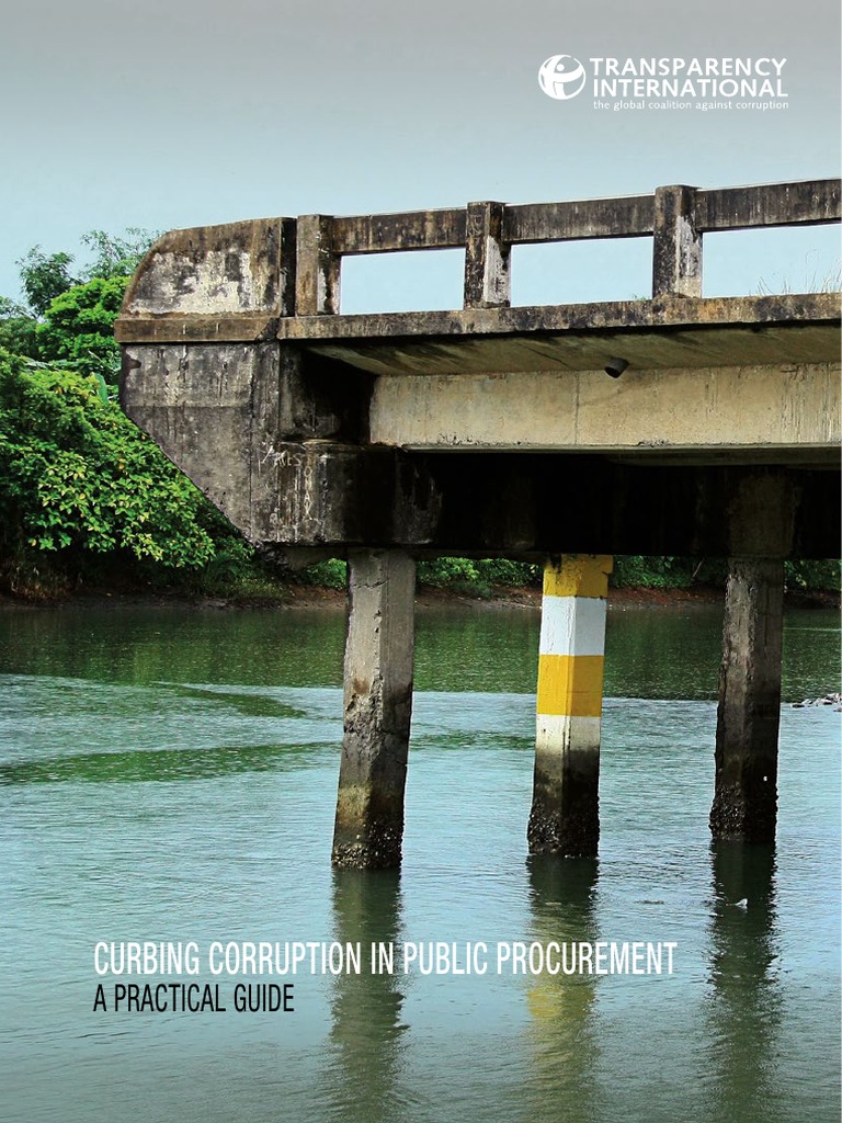 2014 AntiCorruption PublicProcurement Guide en | PDF | Corruption ...