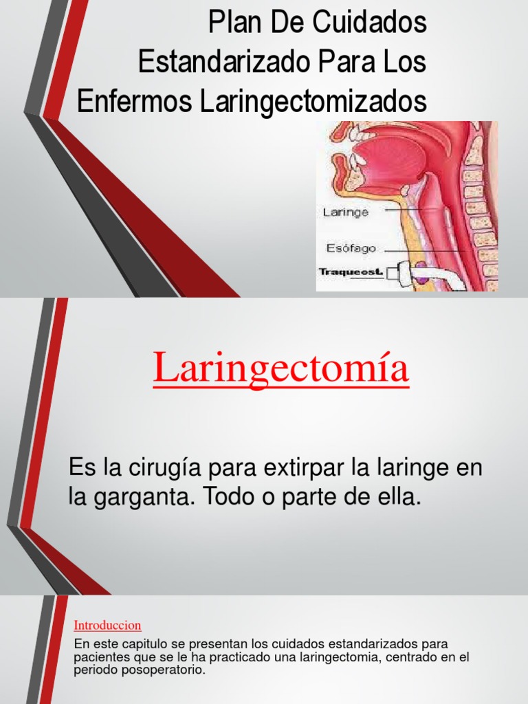 Laringectomia | PDF | Enfermería | Aprendizaje