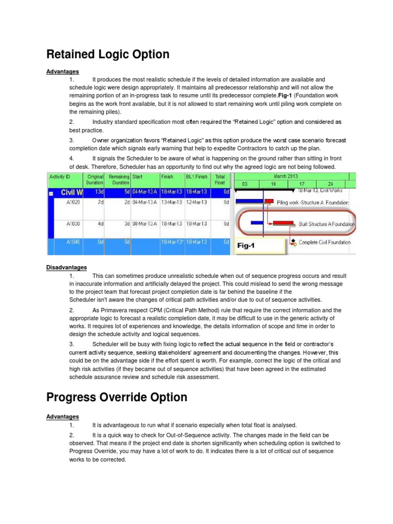 Retained Logic Option | PDF | Histogram | Resource