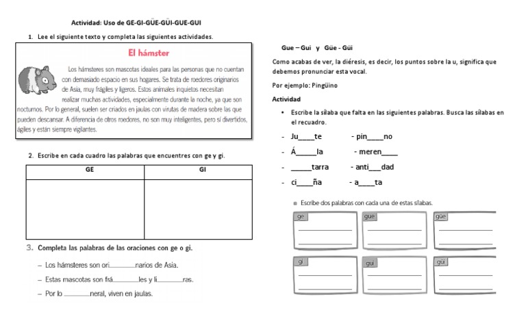 Actividad Ge Gi | PDF