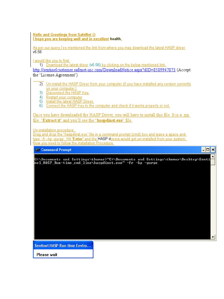 Installing SafeNet HASP Driver v6.56 | PDF