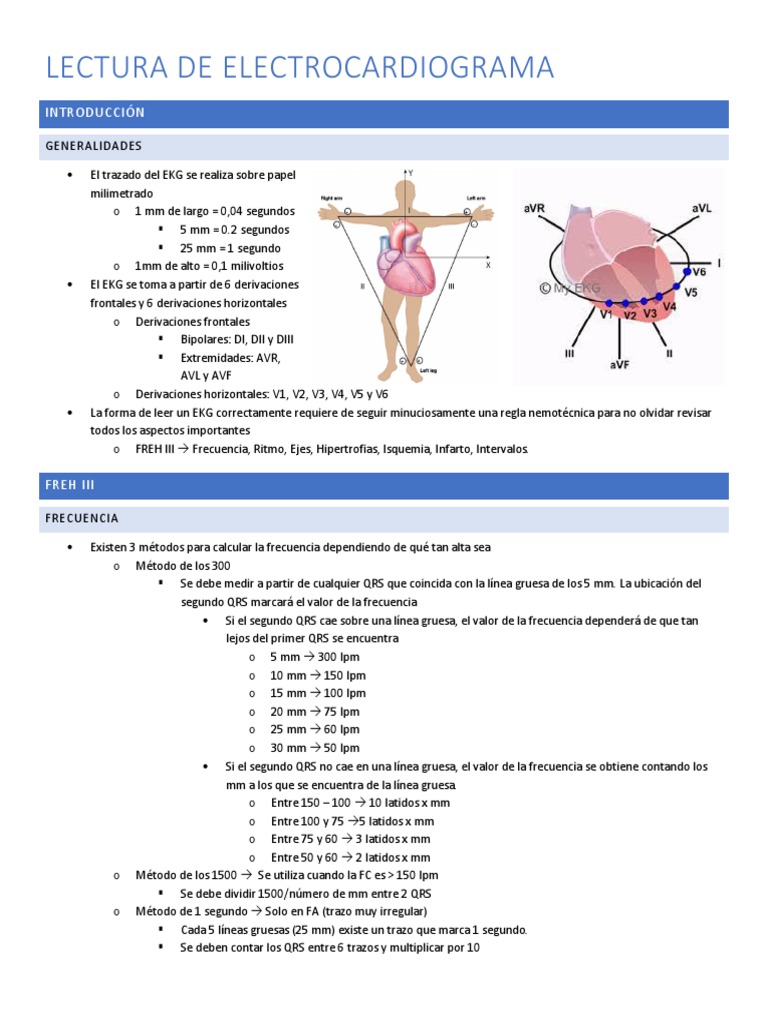 Lectura de Electrocardiograma | Electrocardiografia | Medicina