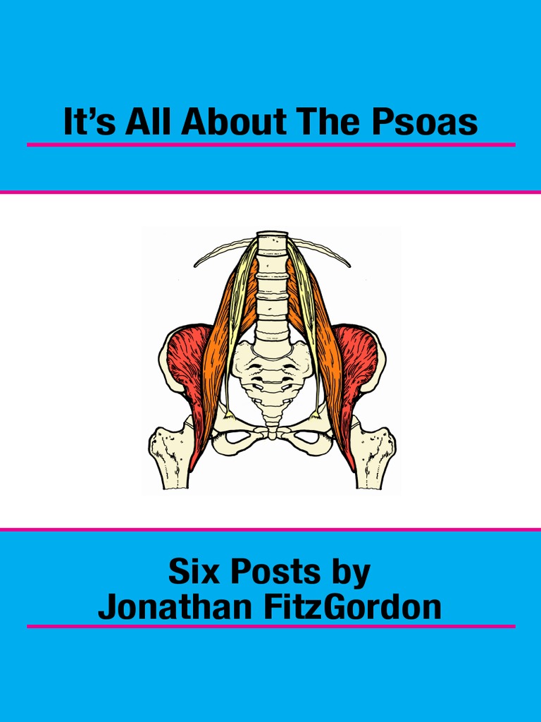 Understanding Psoas Muscle Release | PDF | Vertebra | Pelvis
