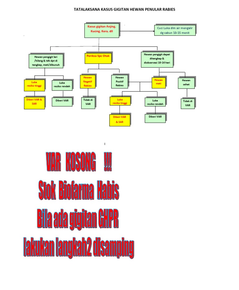 Flow Chart Penatalaksanaan Kasus Gigitan Hewan Tersangka | PDF