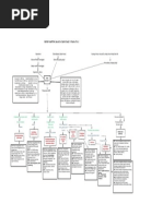 MINDMAP CKD (Chronic Kidney Disease) | PDF