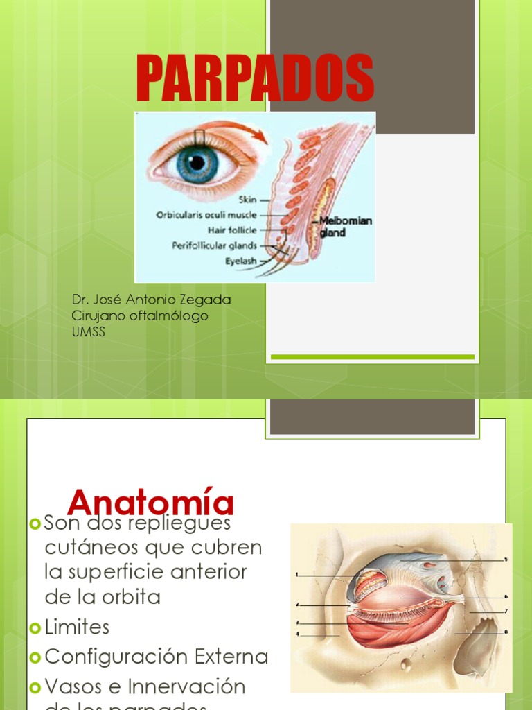 Parpados | PDF | Enfermedades y trastornos | Medicina CLINICA