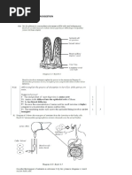 Charles' Law Balloon Experiment Guide | PDF | Balloon | Experiment