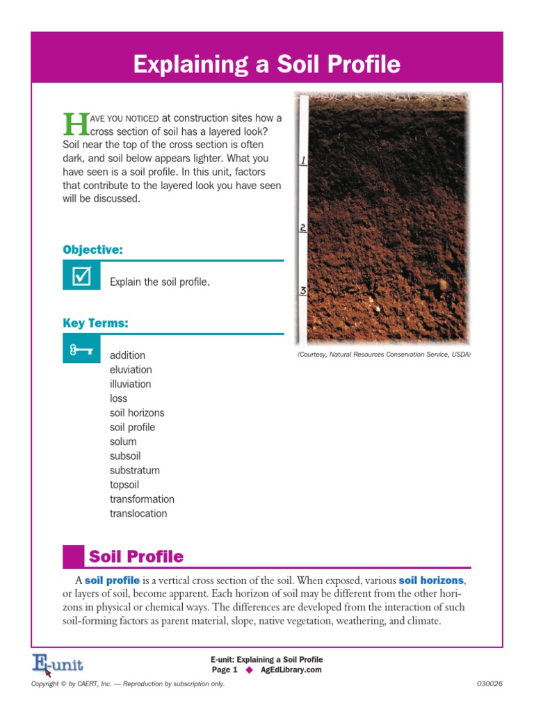Explaining A Soil Profile E Unit | PDF | Topsoil | Soil